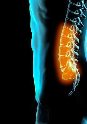 Motorcycle Riding And Reducing Back Pain - Welcome