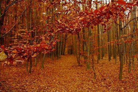 Top 5 Tips for Fall Riding - Welcome